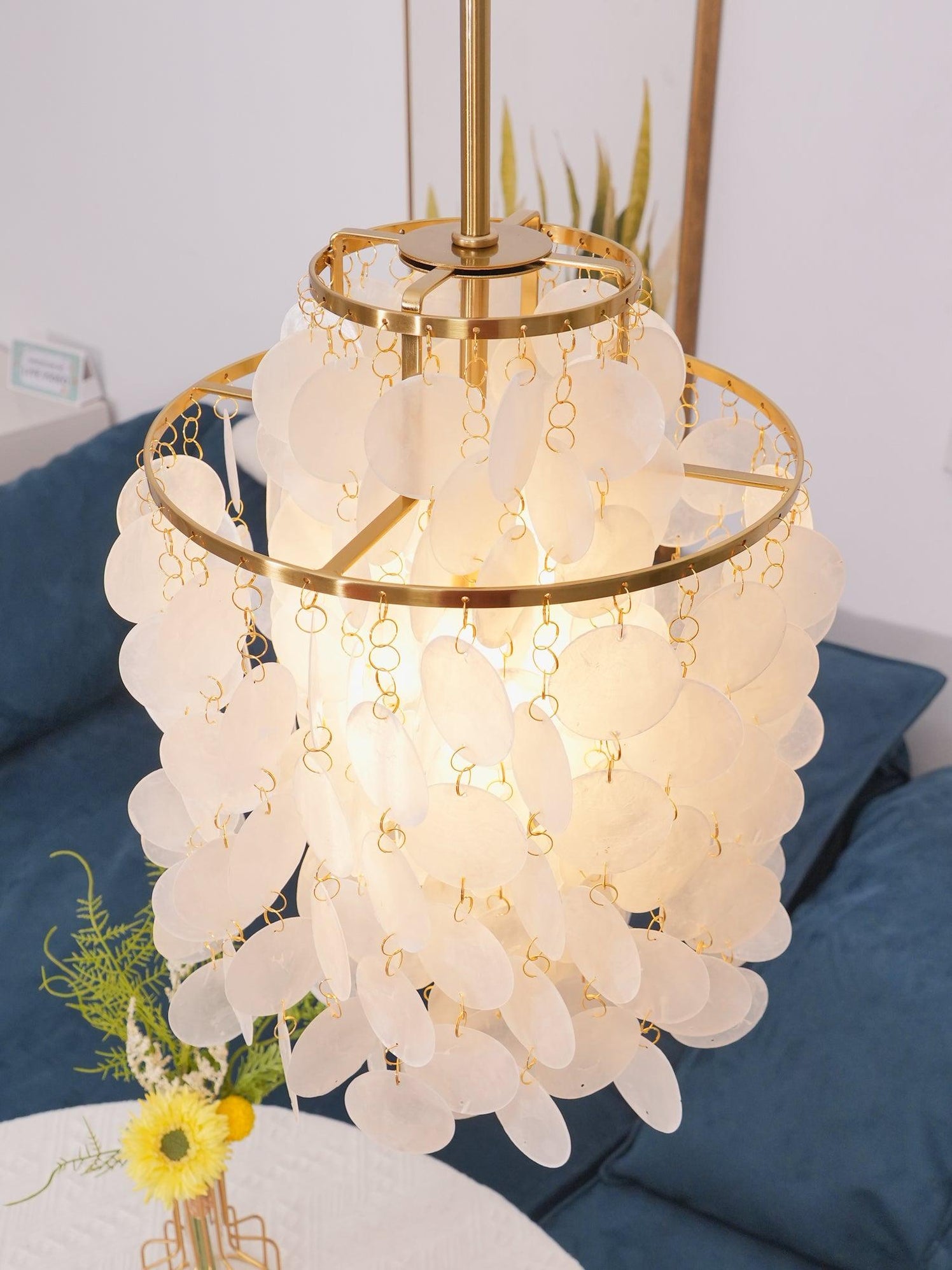 Shell Chandelier — Mooiehome